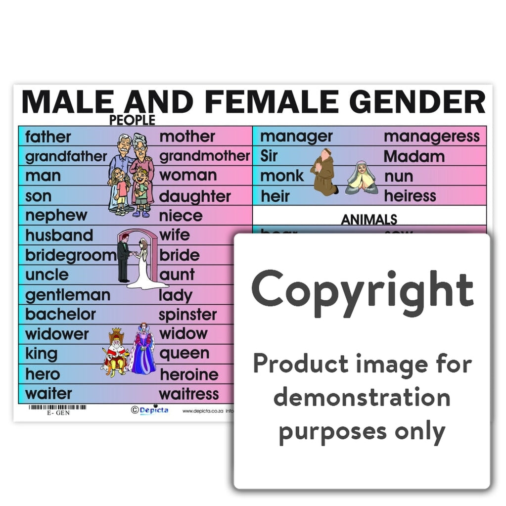 Male And Female Gender Depicta