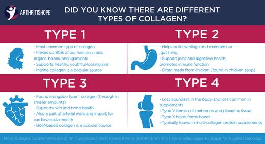 Types Of Collagen