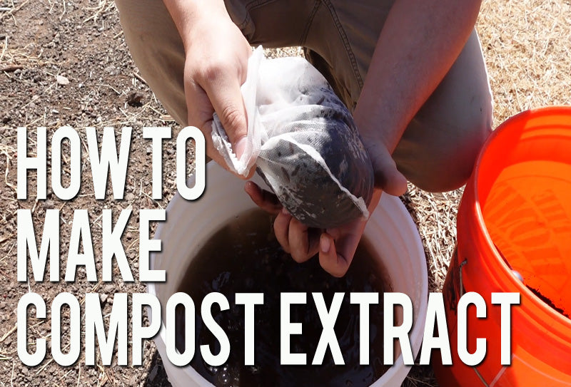 How To Make Compost Extract The Pros And Cons Of Teas Vs Extracts Rbsc