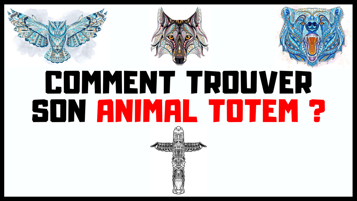 Animal Totem Test Animal Totem Shop