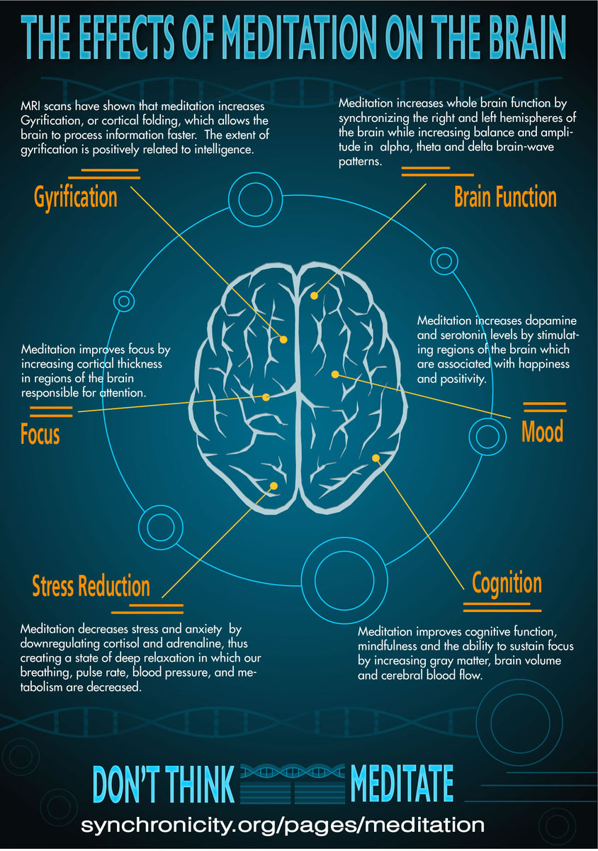 Free Infographic Effects Of Meditation On The Brain Synchronicity