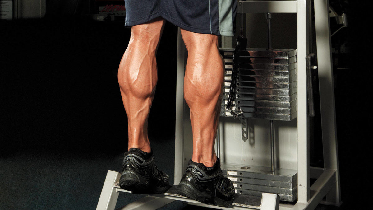 3 Principles For Building Bigger Calves With Menno Henselmans Muscle