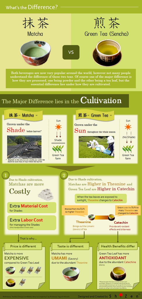 Difference Between Matcha And Green Tea Sencha Infographic Shizen Tea