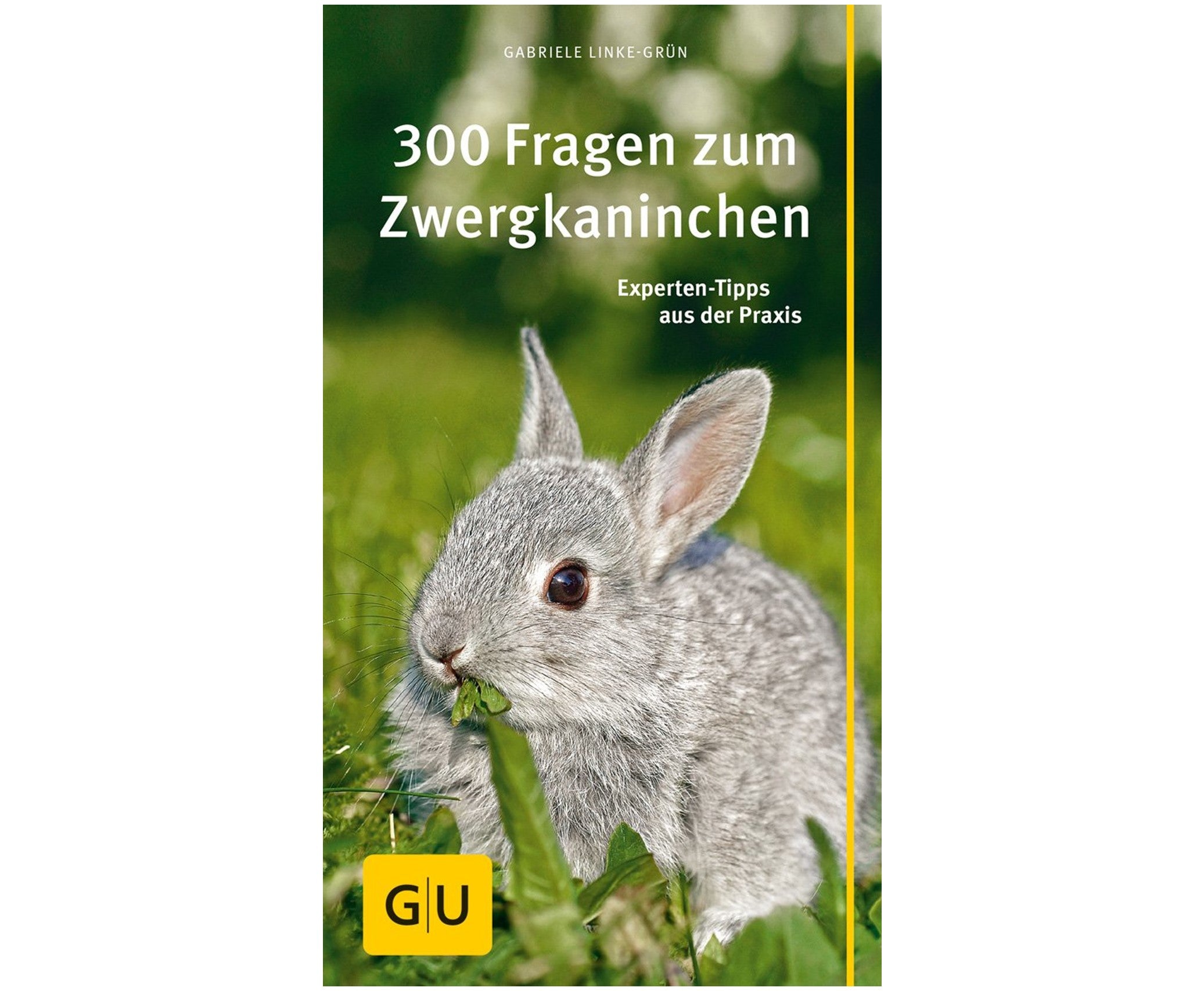 300 Fragen Zum Zwergkaninchen Nagerfarm