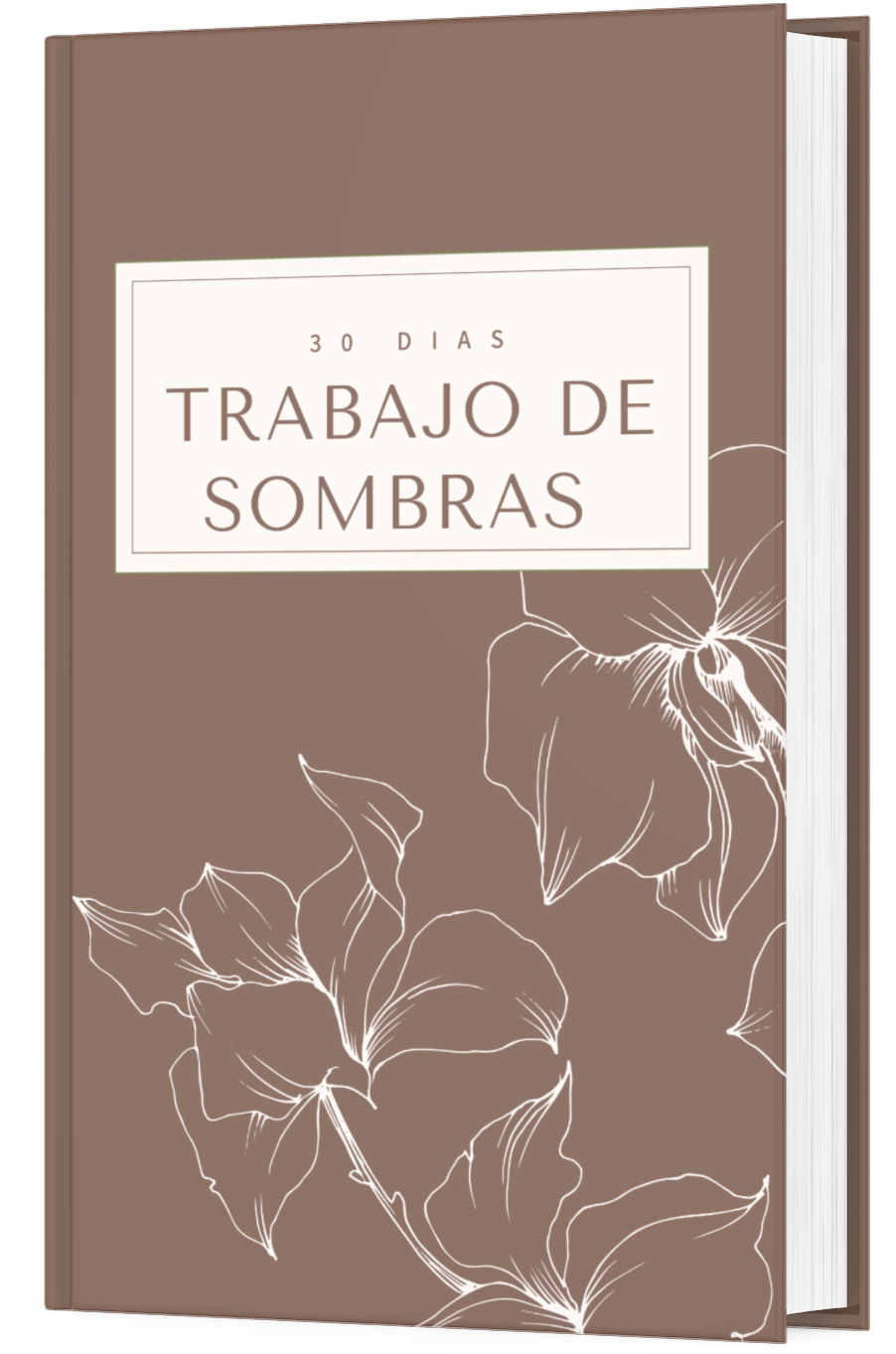 Cuaderno Trabajo De Sombras Nuestro Universo Abundante