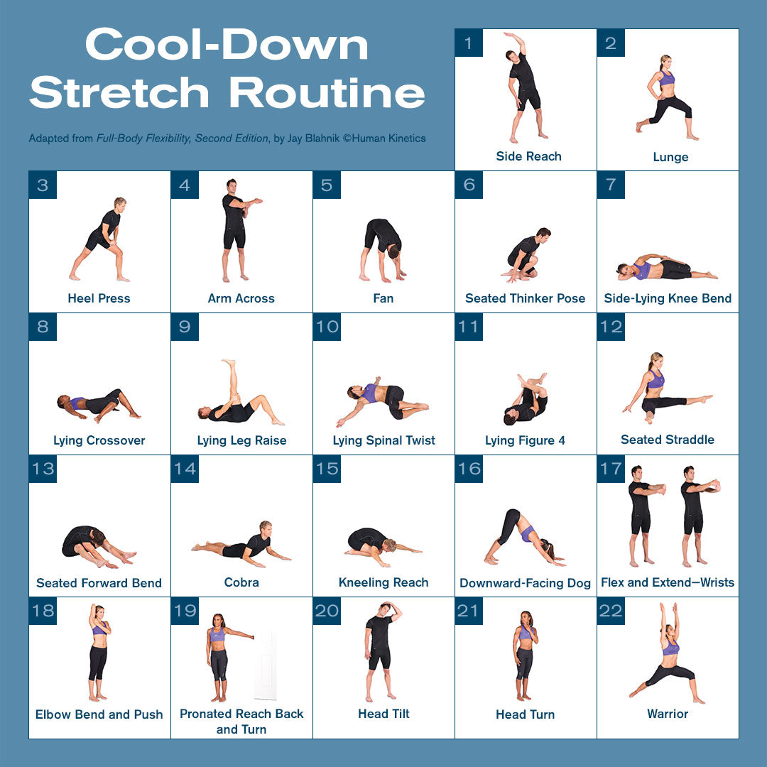 Collection 91 Pictures Cool Down Exercises With Pictures Excellent