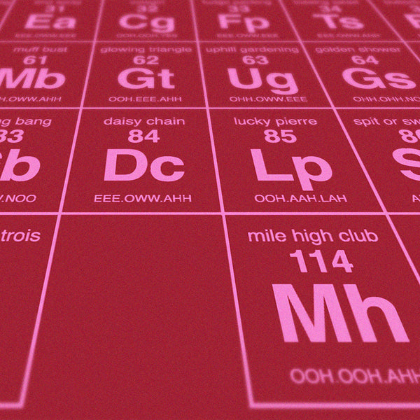 Periodic Table Of Sexual Terminology Screen Print