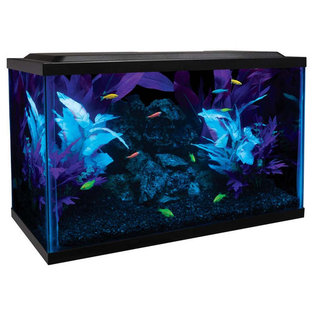 Glofish 10 Gallon Aquarium Kit Bay Bridge Aquarium