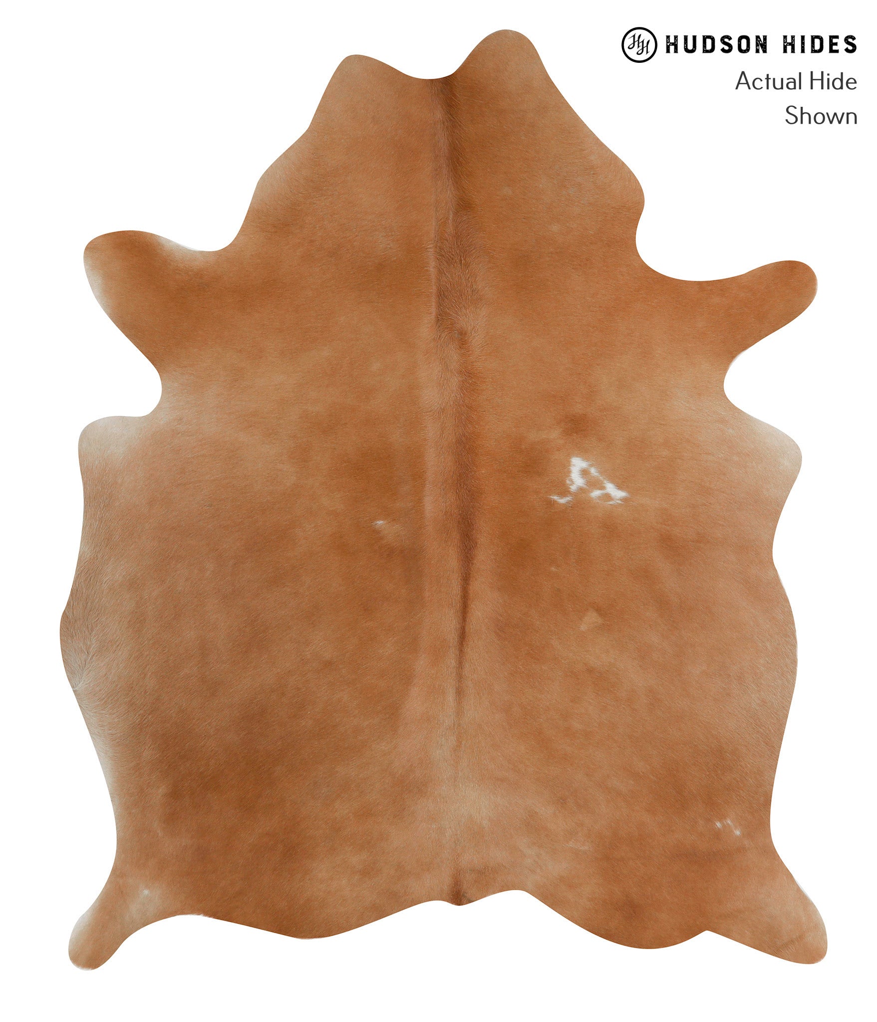 Solid Brown Large Brazilian Cowhide Rug 64h X 52w 84699 By Hudson