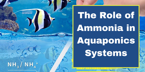 The Role Of Ammonia In Aquaponics Systems Go Green Aquaponics