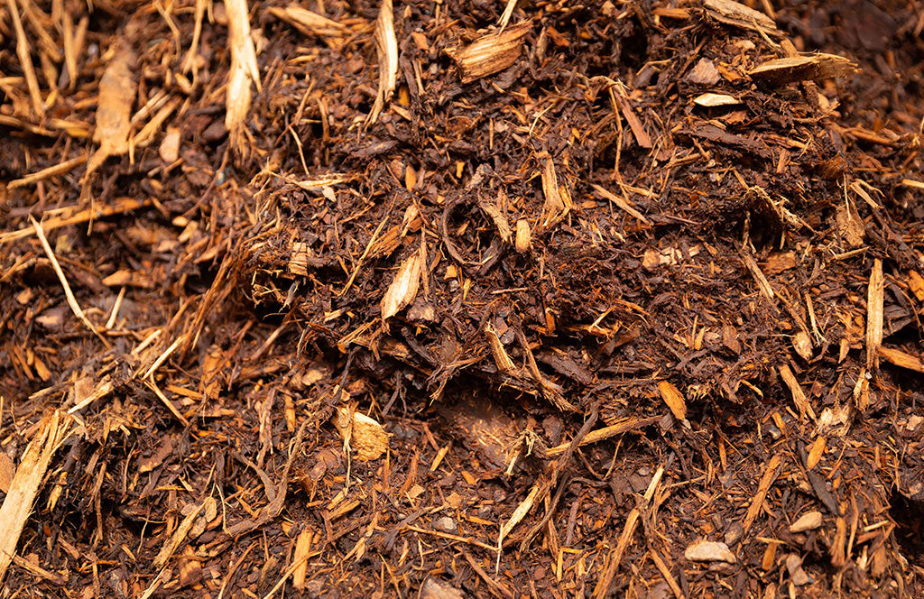 Forest Floor Mulch Centrallandscapes