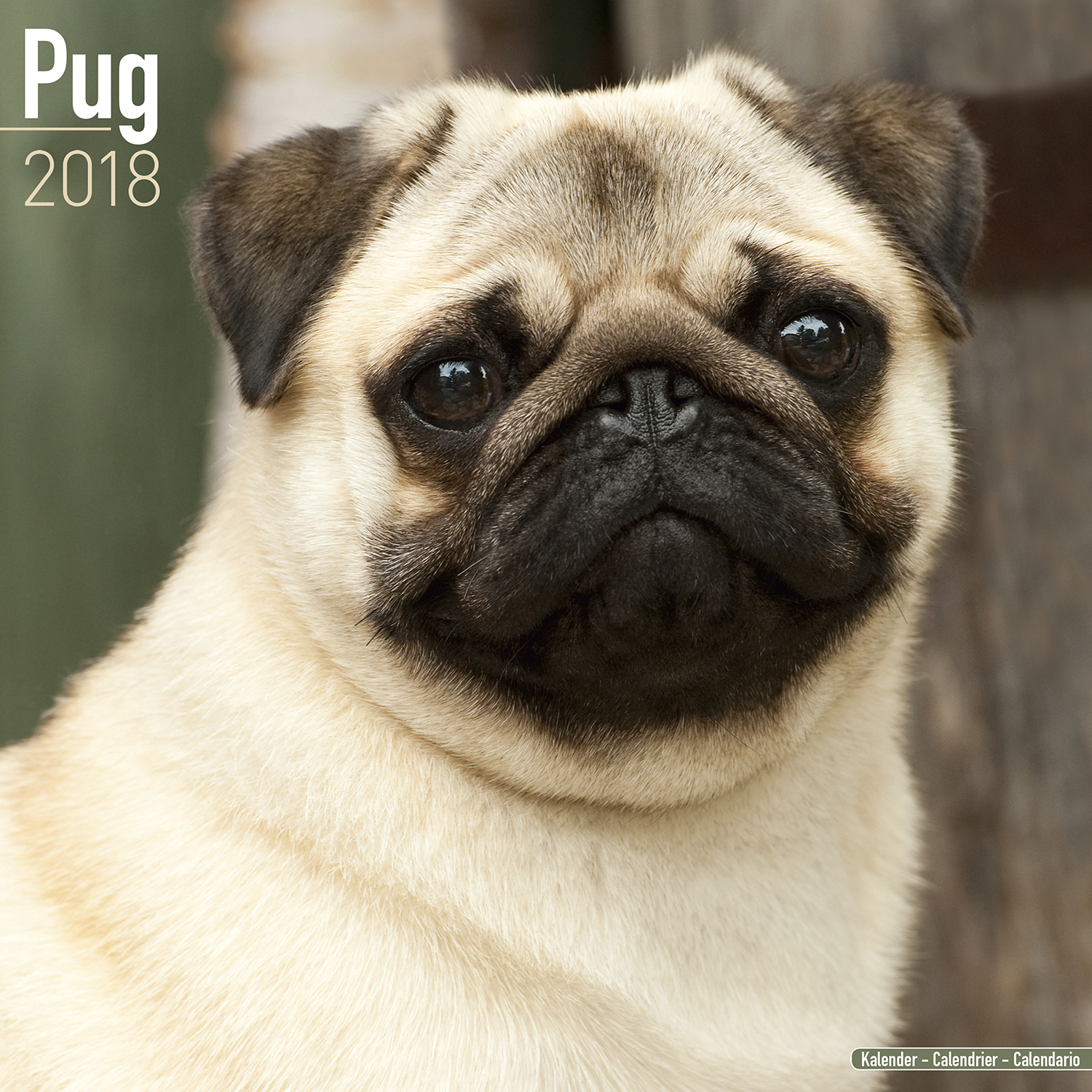 Pug Calendar 2018 Pet Prints Inc