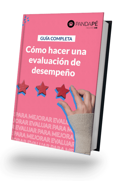 Ebook Evaluación De Desempeño Pandapé