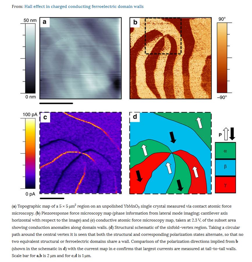 Conductive Afm Cafm Nanosensors Blog