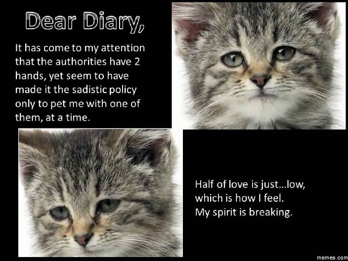 Dear Diary