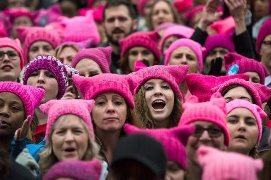 How To Knit A Pussy Hat Womens Electoral Lobby