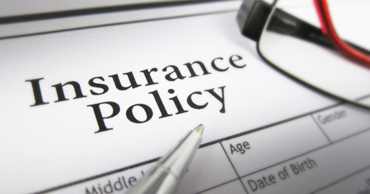 An Insightful Overview On Primary Criteria In Insurance Shellz Designs