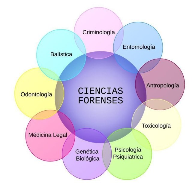 Curso Capacitação Em Ciências Forenses