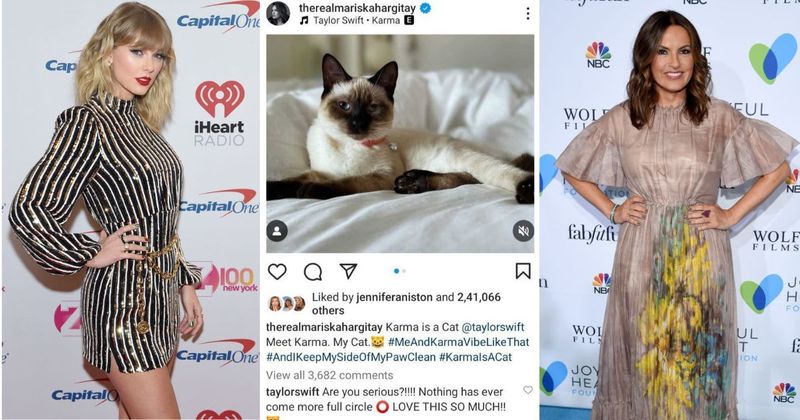 Taylor Swift Reacts When Mariska Hargitay Names Her Pet Sport