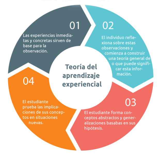 La Teoría De Los Estilos De Aprendizaje De Kolb Actualidad En Psicología