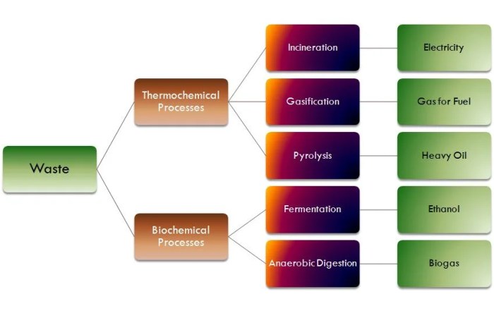 Physico Chemical Conversion Bioenergy Consult