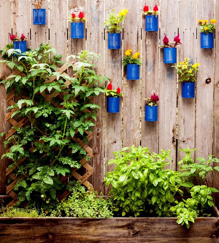 Unusual Garden Fence Ideas That Will Brighten Up Your Outdoor Space