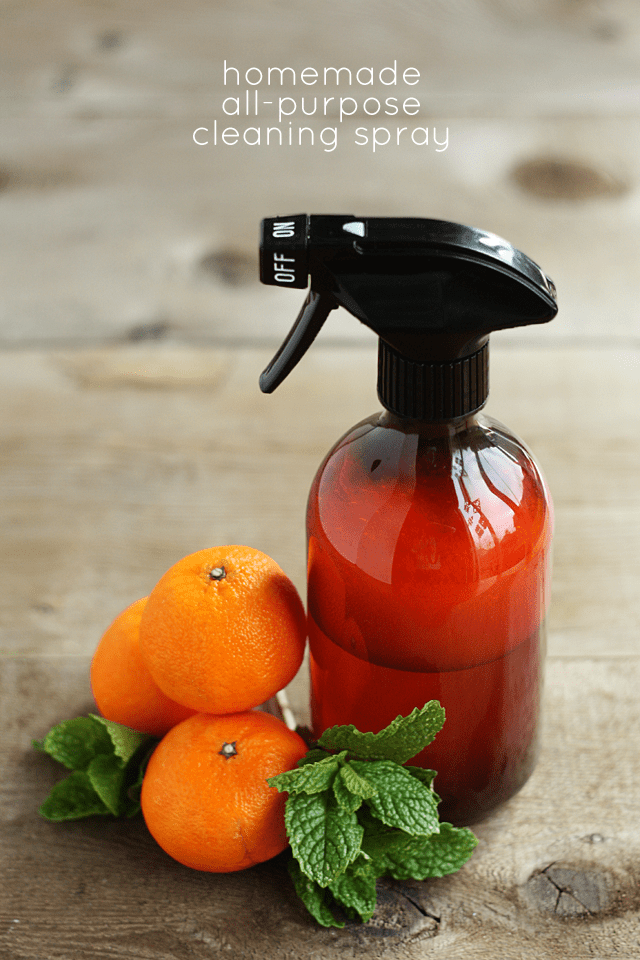 Homemade All Purpose Cleaning Spray ~ Lulu The Baker