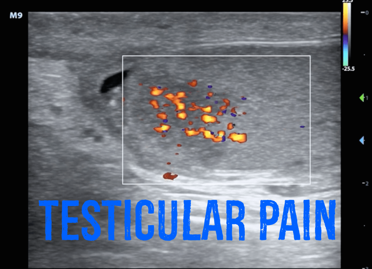 Hennepin Ultrasound Testicular Pain