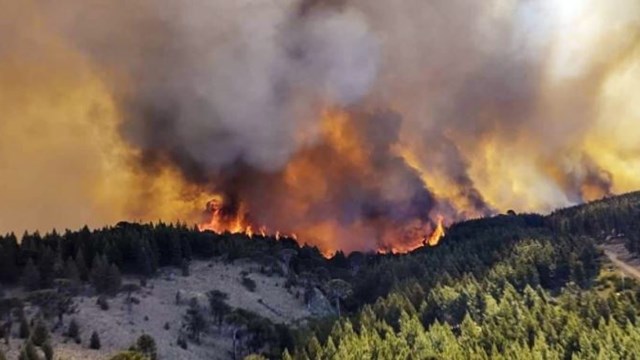 Incendios Hay Focos Activos En Siete Provincias Telefe Rosario