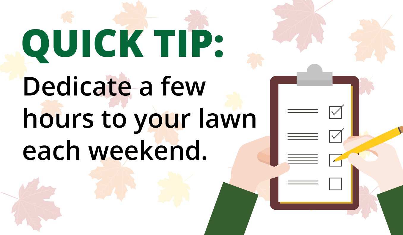 Fall In Love With Lawn Maintenance Tips And Tricks Trugreen