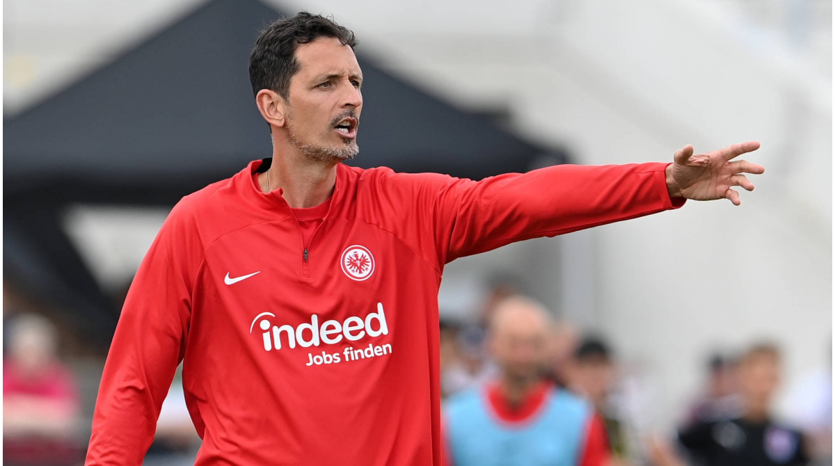 Eintracht Frankfurt Dino Toppmöller Lehnt Offerte Aus Saudi Arabien Ab