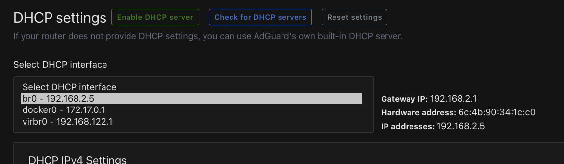 Unable To Enable Dhcp In Adguard Docker Container · Issue 5310