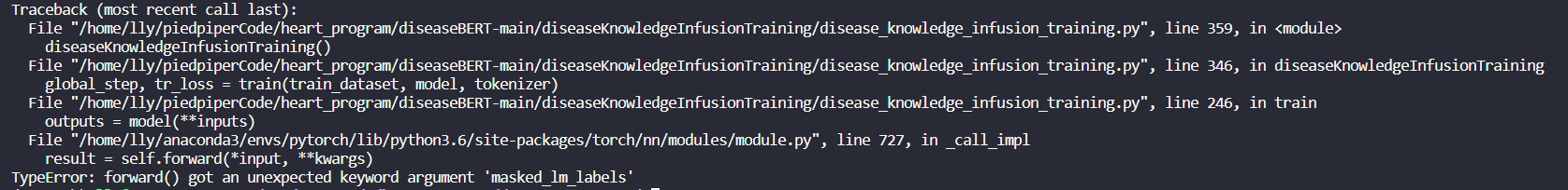 Typeerror Forward Got An Unexpected Keyword Argument Maskedlm