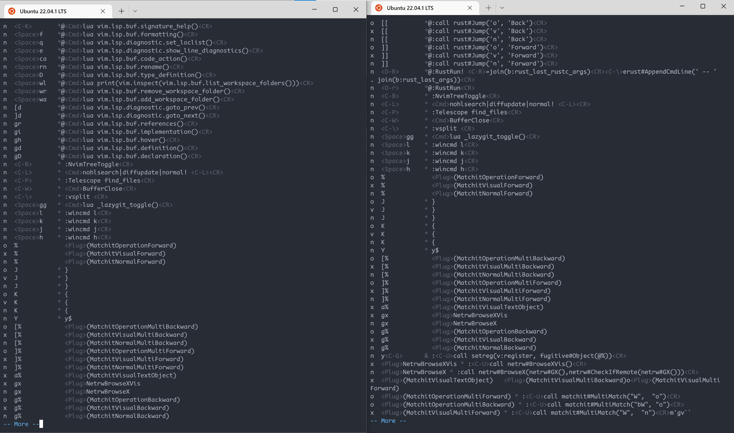 Key Mappings Not Attaching When Rustanalyzer Lsp Got Attached · Issue