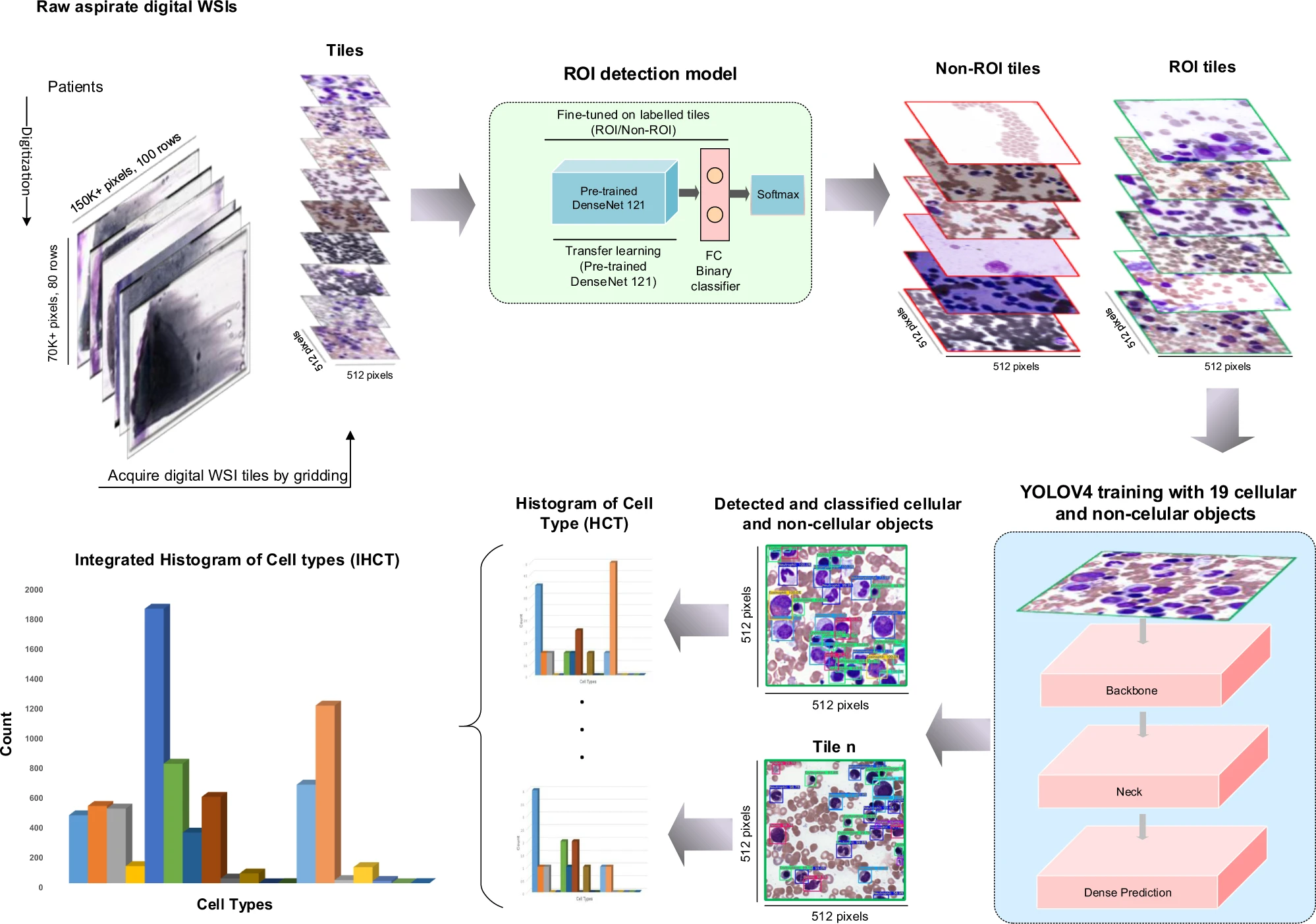 Github Moosavitayebicytologyproject Bone Marrow Cytology Is