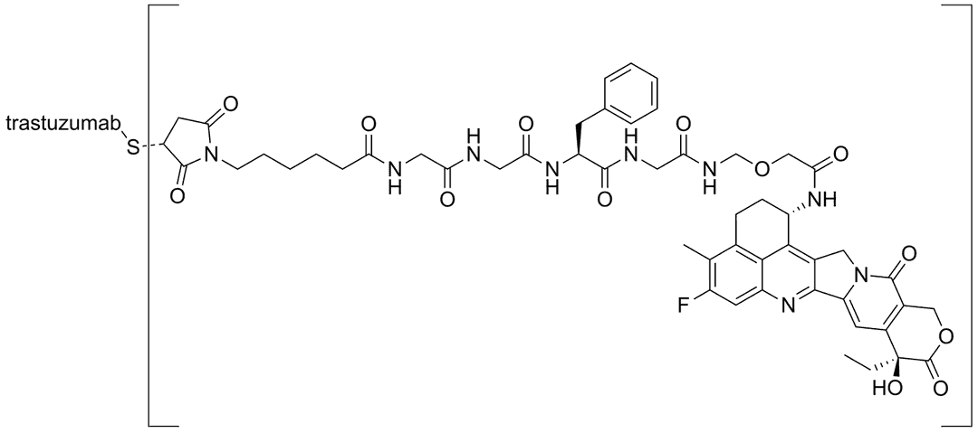 Trastuzumab Deruxtecan Wikiwand