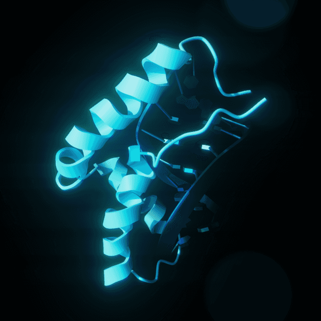 Sex Determining Region Y Protein Wikiwand