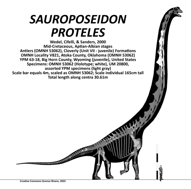 Sauroposeidon Wikiwand