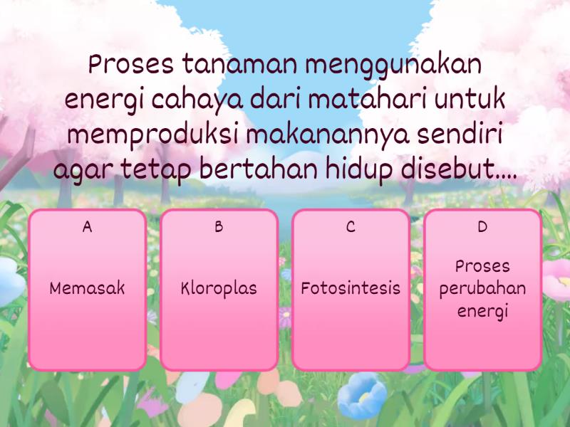 Fotosintesis Proses Paling Penting Di Bumi اختبار تنافسي