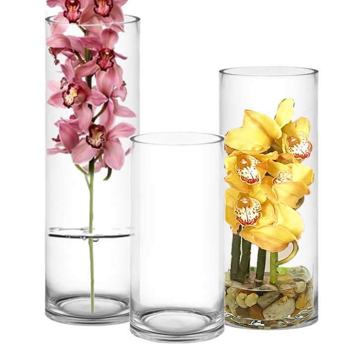 Stunning Glass 6 Cylinder Vases For Elegant Floral Arrangements Shop Now