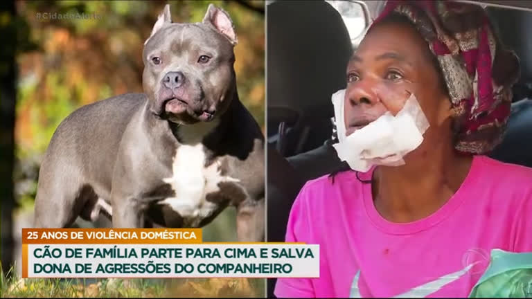 Homem é Atacado E Morto Pelo Cachorro Ao Tentar Agredir A Esposa