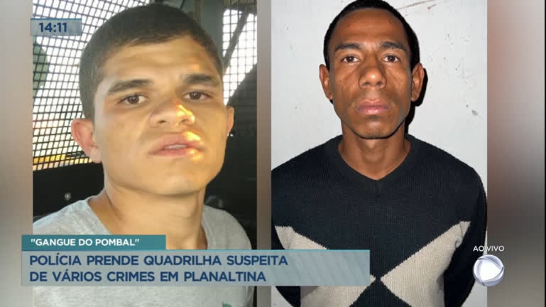 Polícia Prende Quadrilha Suspeita De Vários Crimes Em Planaltina