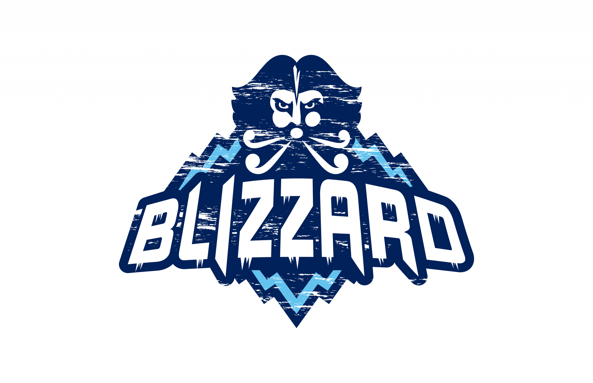 Blizzard Entertainment Logo Png Vector Cdr Free Downl