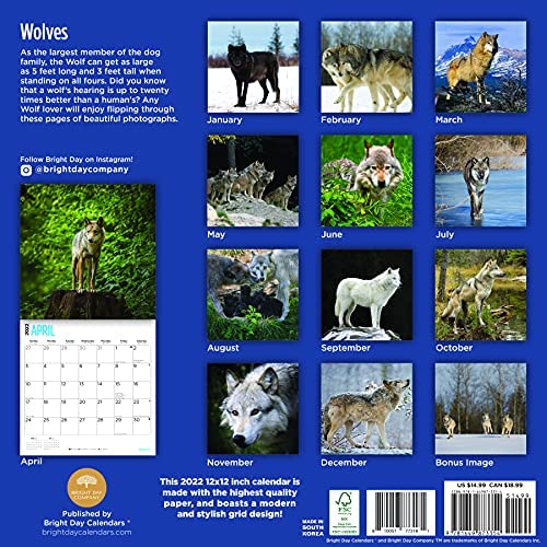 2022 Wolves Wall Calendar By Bright Day 12 X 12 Inch Cute Wild Hato0708