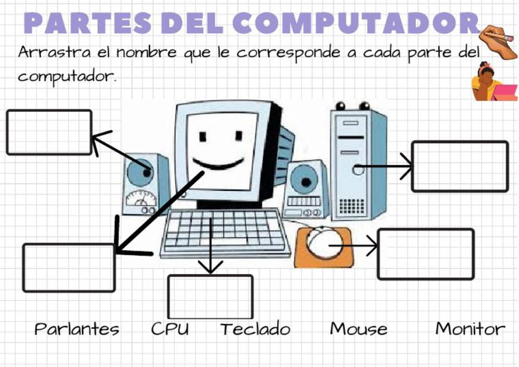 Partes Del Computador Y Sus Funciones Imagui Hot Sex Picture