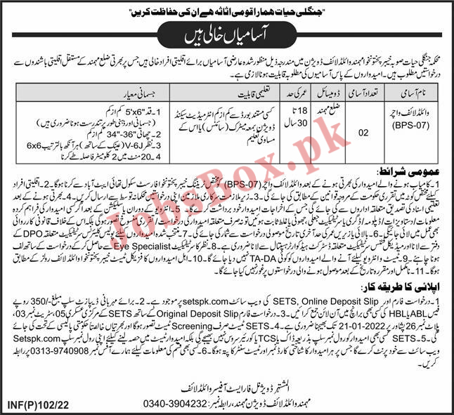 Forestry Environment And Wildlife Department Kpk Jobs 2022