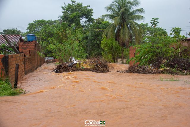 Chuva Deixa Mais De 100 Famílias Desalojadas Em Cacoal VÍdeos Rolnews