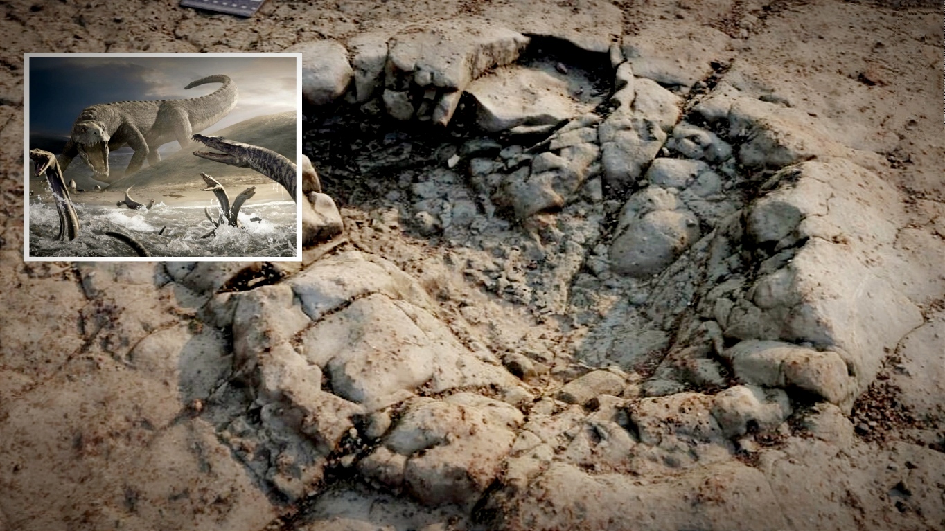 Tapak Kaki Dinosaur Berusia Lebih 200 Juta Tahun Ditemukan Di Pantai
