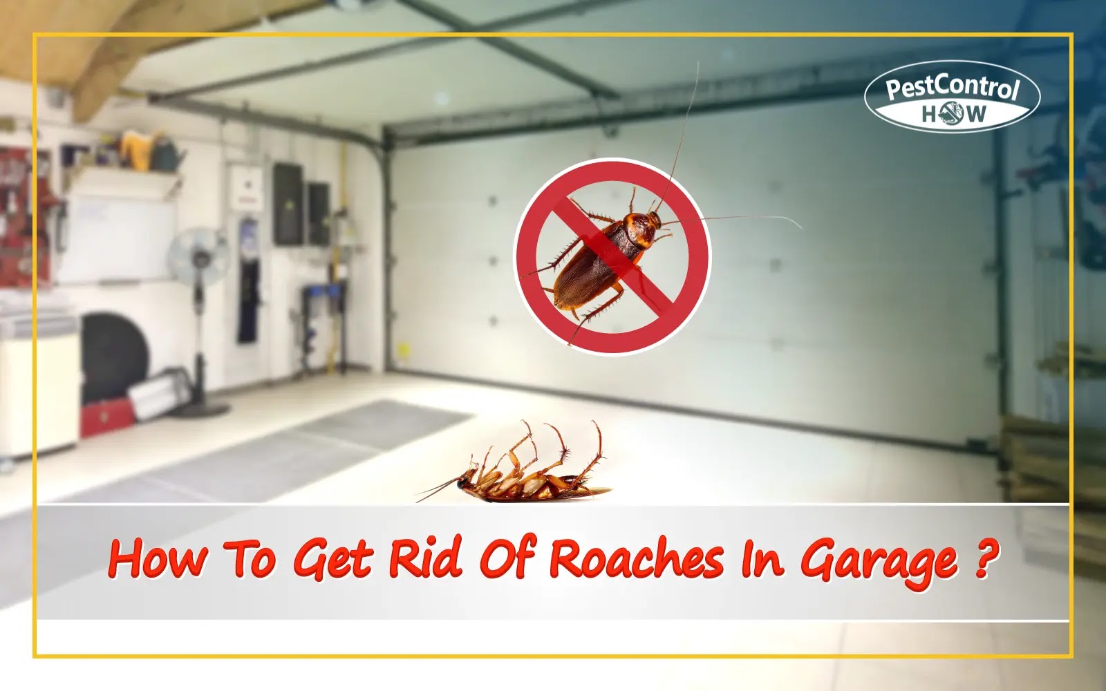 How To Get Rid Of Roaches In Garage 5 Ways And Effective Tips