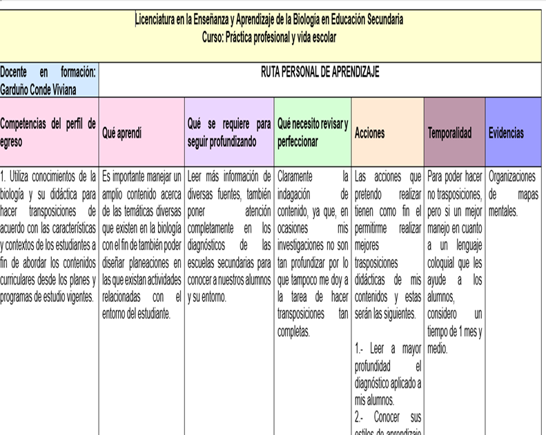 Evidencias De Práctica Profesional Y Vida Escolar Diseño De La Ruta